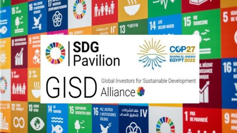 The GISD Alliance at COP27: Scaling up private investment for SDG and ...